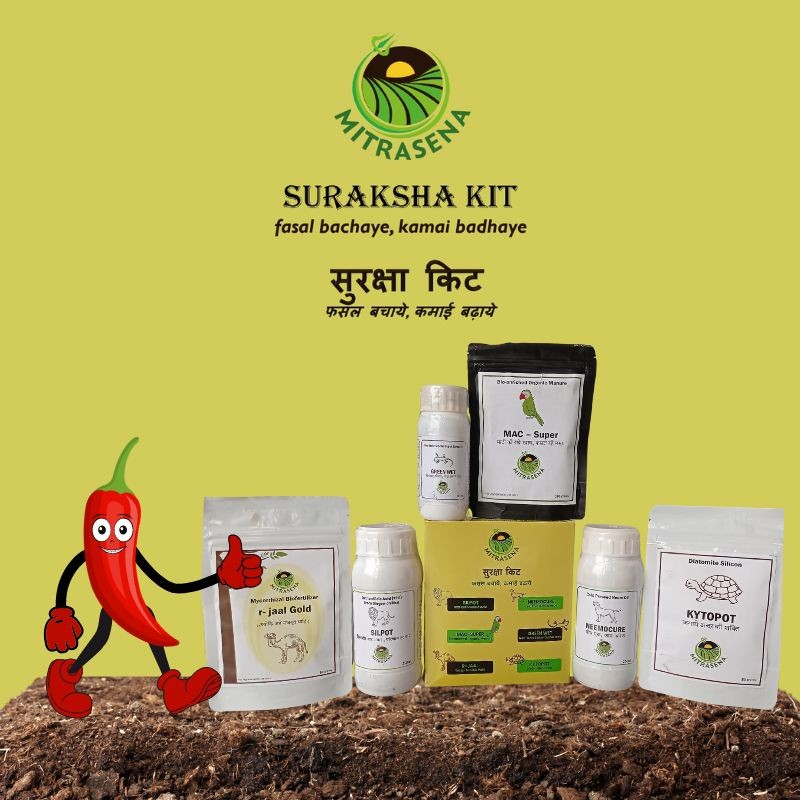 Mitrasena Suraksha Kit - Chilli Special Fertilizer and Micronutrients
