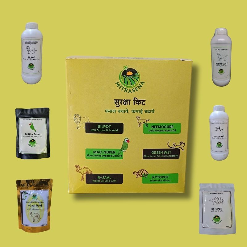 Mitrasena Suraksha Kit - Chilli Special Fertilizer and Micronutrients